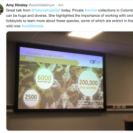 Protecting Colombia’s extraordinary orchid biodiversity | People not ...