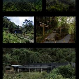 Protecting Colombia’s extraordinary orchid biodiversity | People not ...