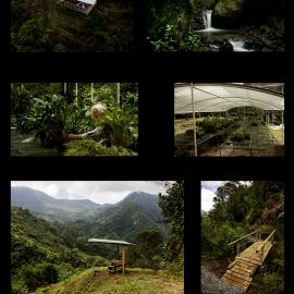 Protecting Colombia’s extraordinary orchid biodiversity | People not ...