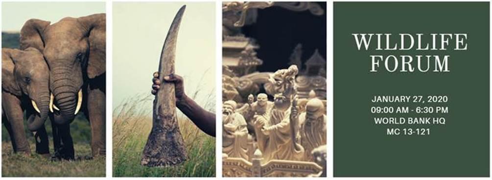 Wildlife Forum | People not poaching