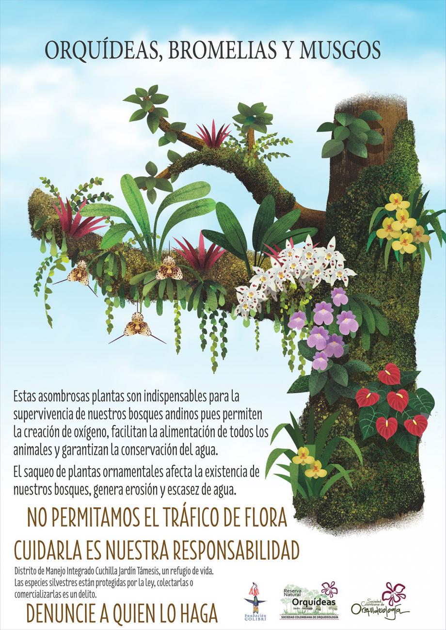 Protecting Colombia’s extraordinary orchid biodiversity | People not ...