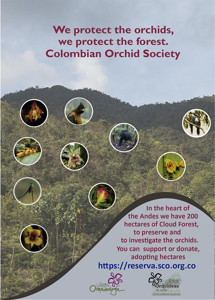 Protecting Colombia’s extraordinary orchid biodiversity | People not ...